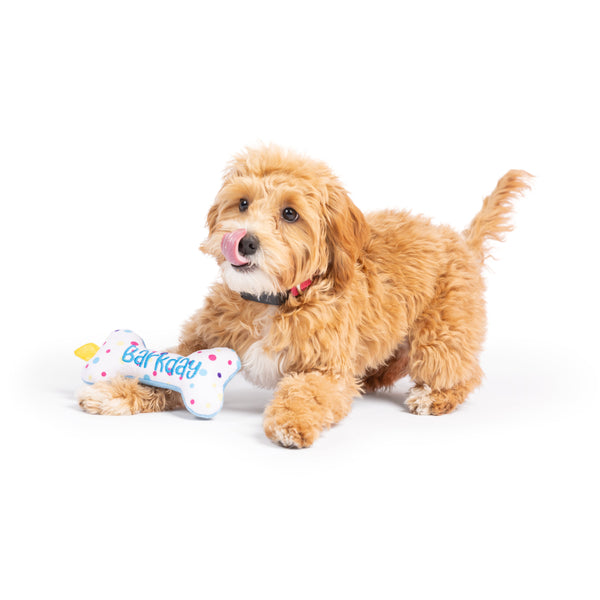 Tiny Tuff It's My Barkday Bone - Huxley & Kent