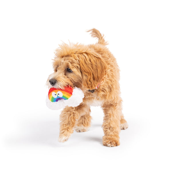 Tiny Tuff Happy Rainbow - Huxley & Kent