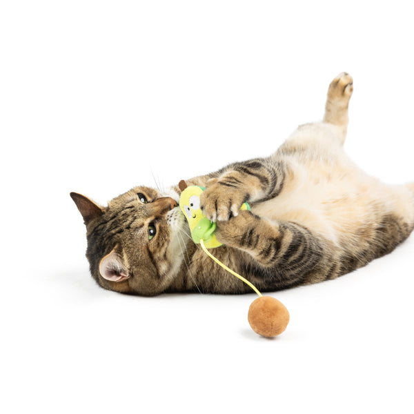 Avocado Popper Cat Toy - Huxley & Kent