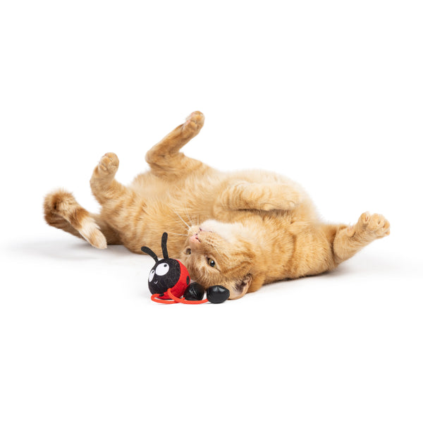 Ladybug Chirpy Cat Toy - Huxley & Kent
