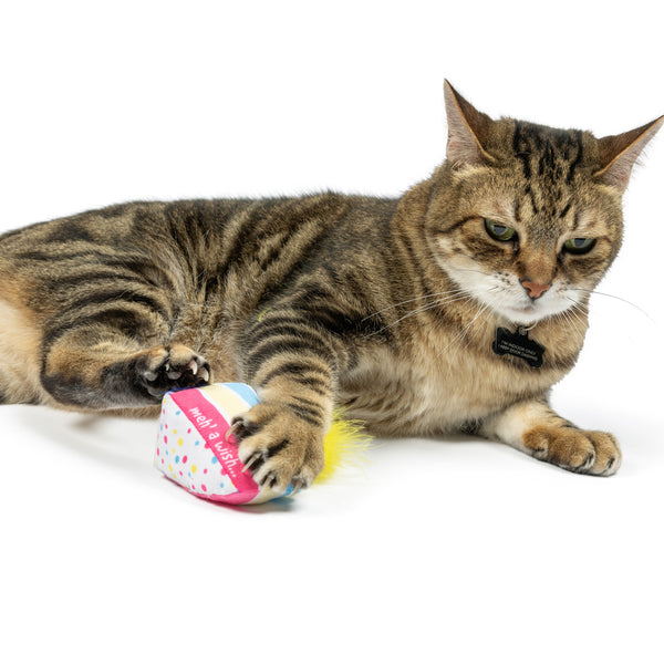 Meh' a Wish Cake Cat Toy - Huxley & Kent