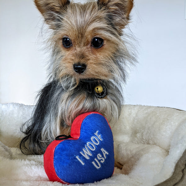 Paws & Stripes Heart (Double Sided) - Dog Toy - Huxley & Kent