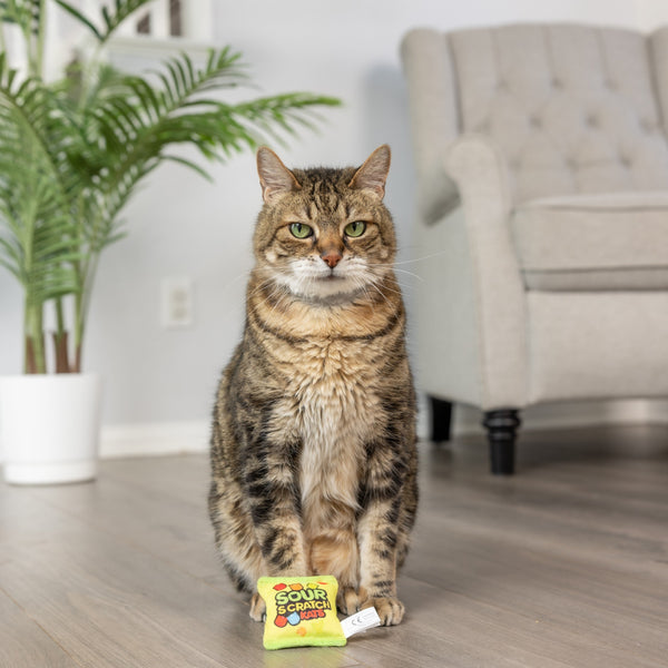 Sour Scratch Kats Cat Toy - Huxley & Kent