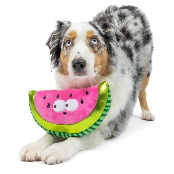 Walter Melon - Plush Dog Toy - Huxley & Kent