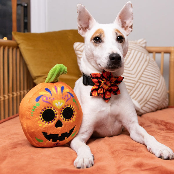 Sugar Skull Pumpkin - Plush Dog Toy - Huxley & Kent